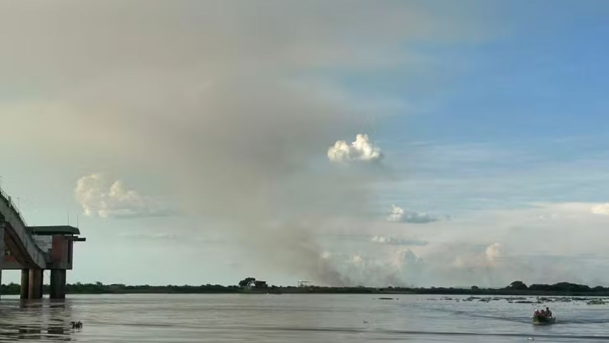 Incêndios no Pantanal consomem 6 mil hectares e mobilizam bombeiros em ...